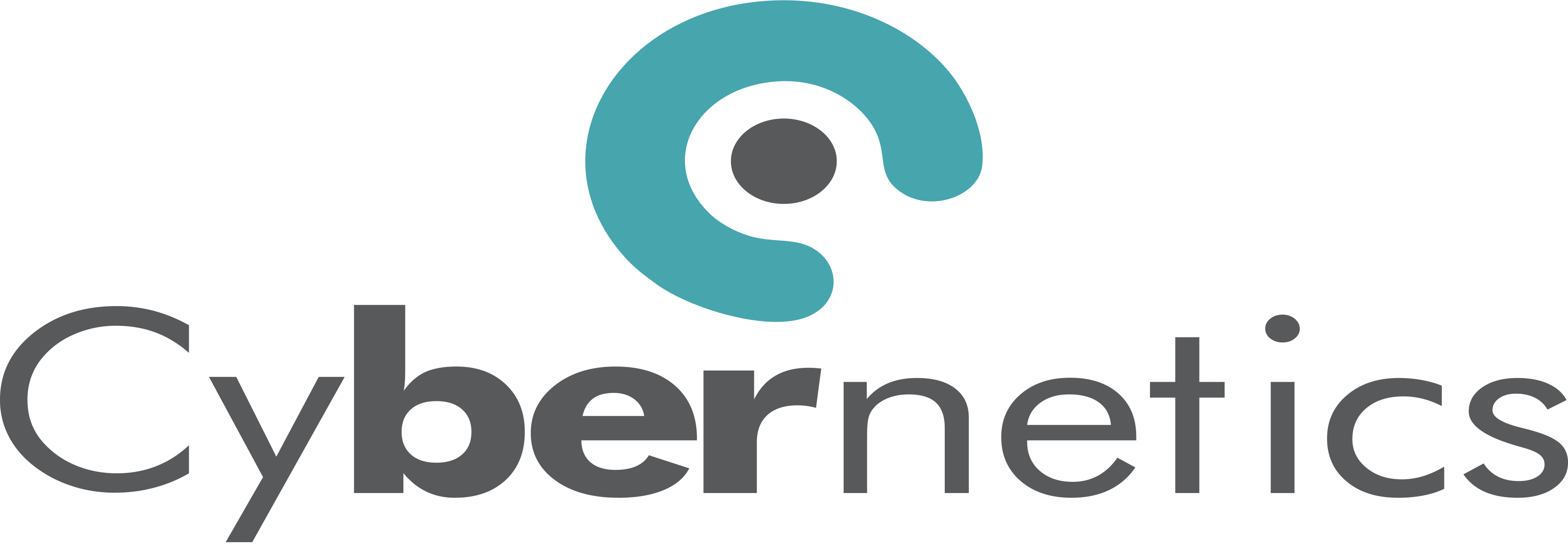 Homepage [cybernetics.co.zw]